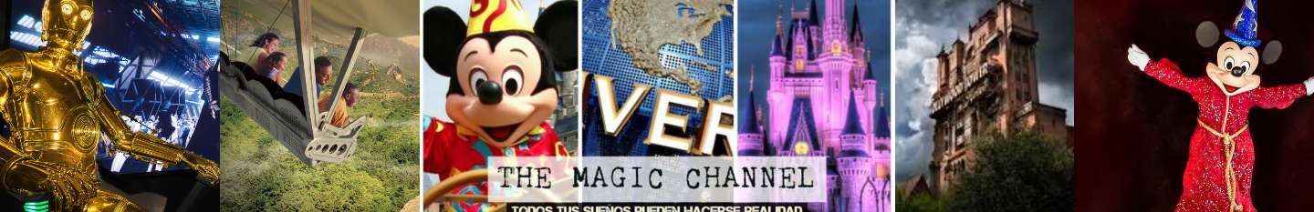 Disney World Rider Switch Pass o Child Swap:¿Que es? ¿Como usarlo?